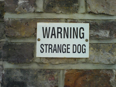 Five Warning Signs Merchants Need to Know About Scammy Discount Programs